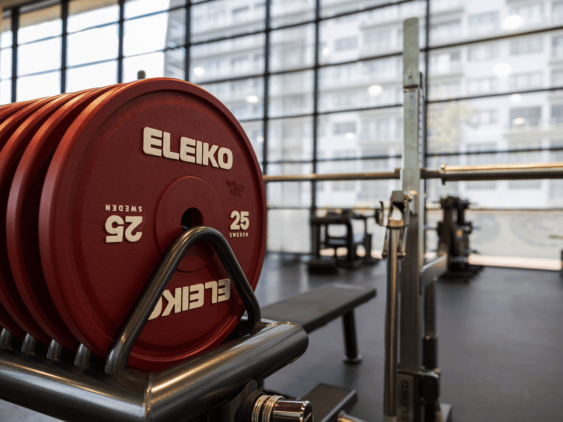 Equipment | Body Action Gym Bedfordview - Not all gyms are created equal